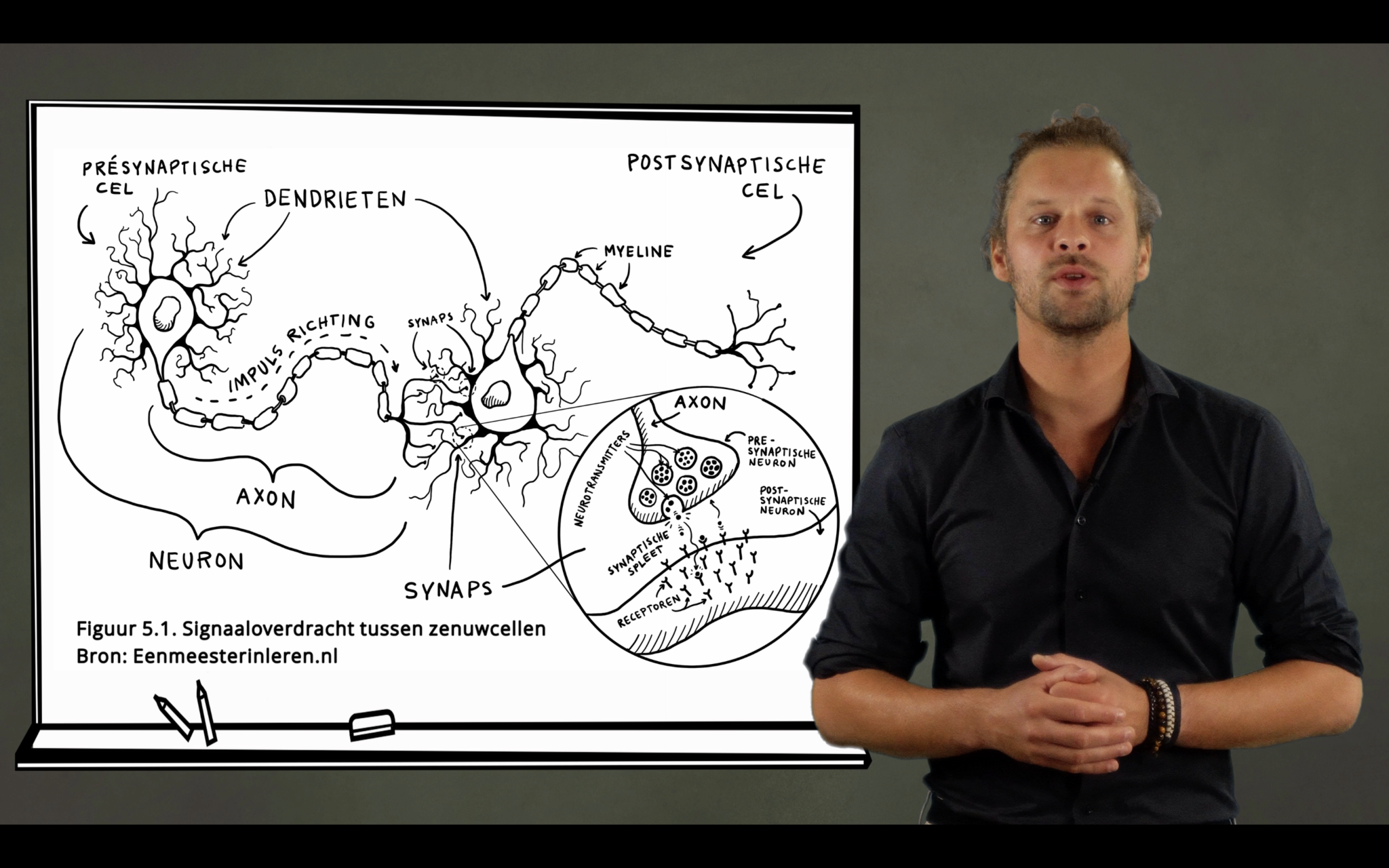 De werking van de hersenen en hersengebieden - Hersenen en leren Deel 1 ...
